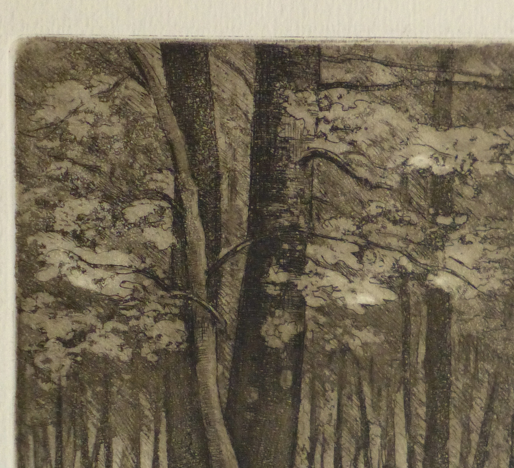 Etching - Tree Roots, 1984 - Original Art, Antique Maps & Prints