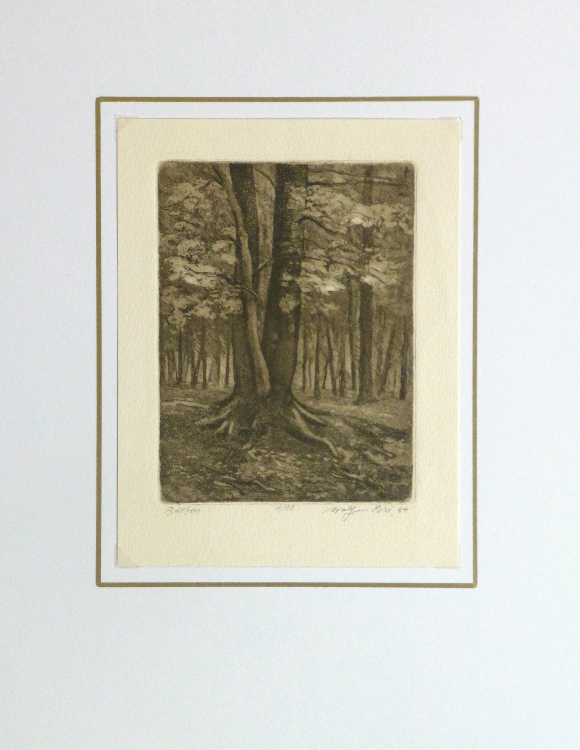 Etching - Tree Roots, 1984 - Original Art, Antique Maps & Prints