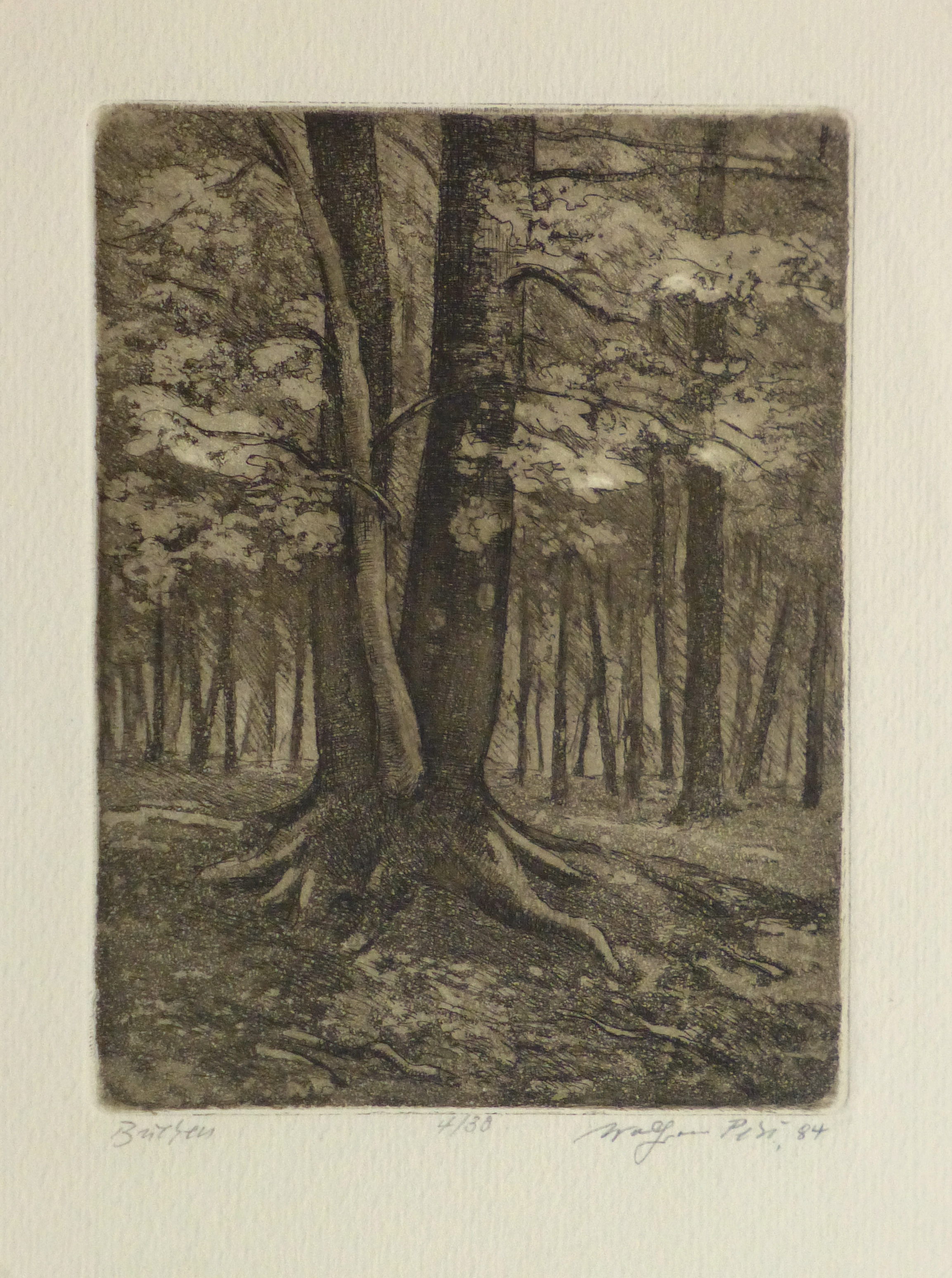 Etching - Tree Roots, 1984 - Original Art, Antique Maps & Prints