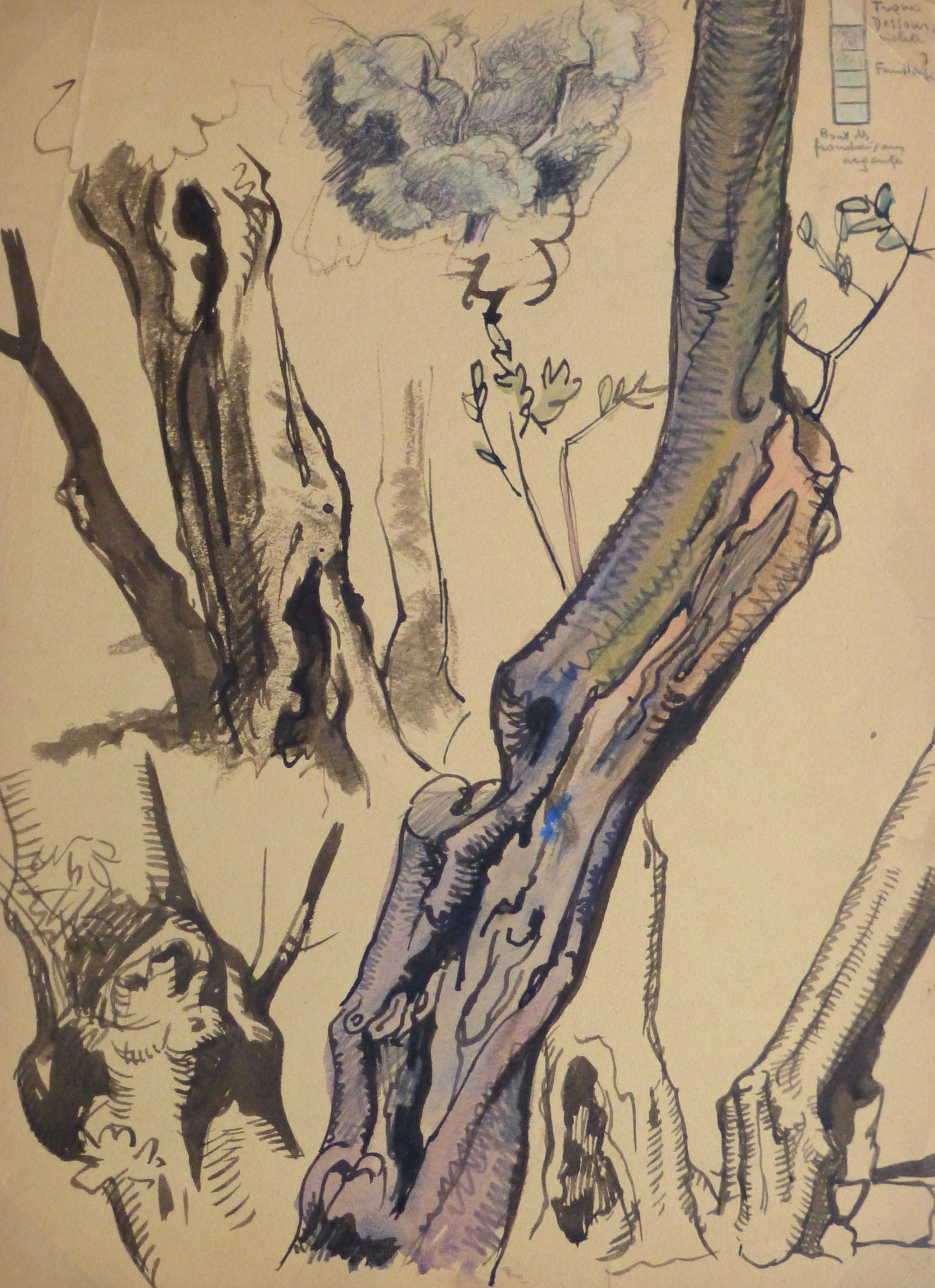 Ink Wash - Tree Study, Circa 1930 - Original Art, Antique Maps & Prints