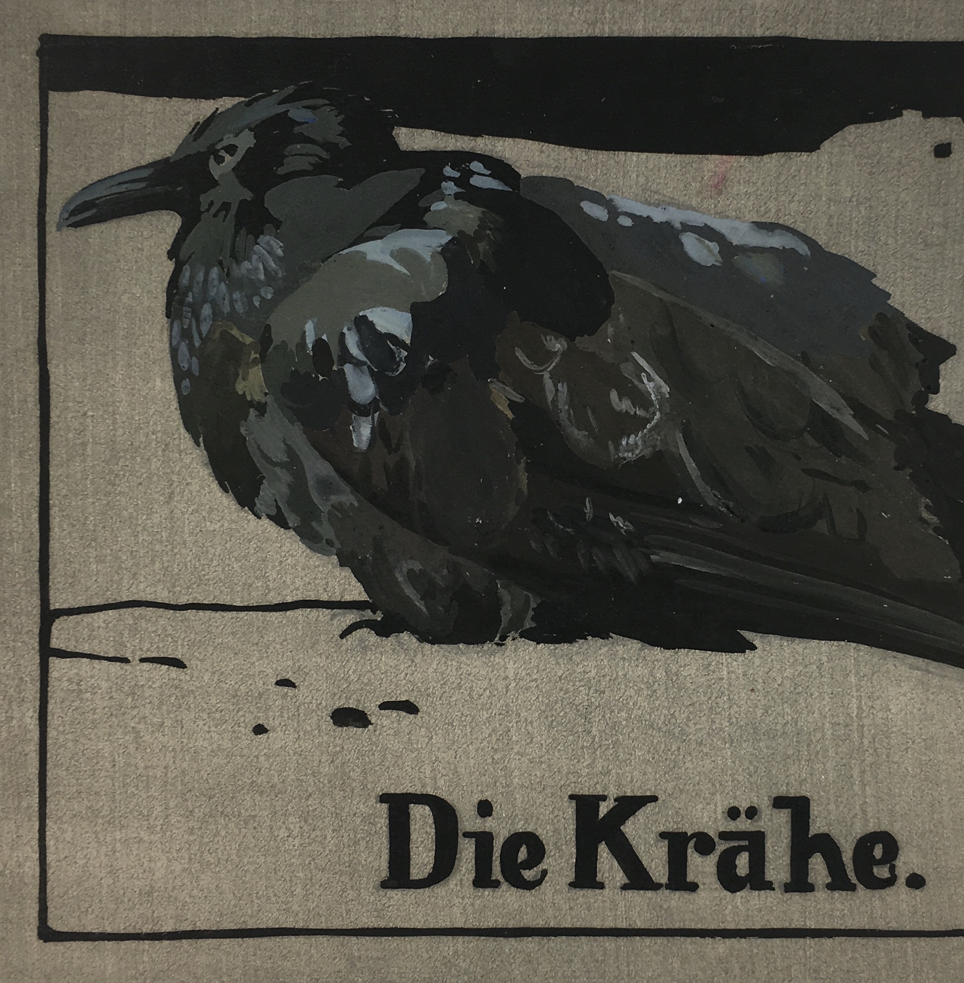 Animals Original Art - Crow, Frey, c.1920 - Original Art, Antique Maps ...