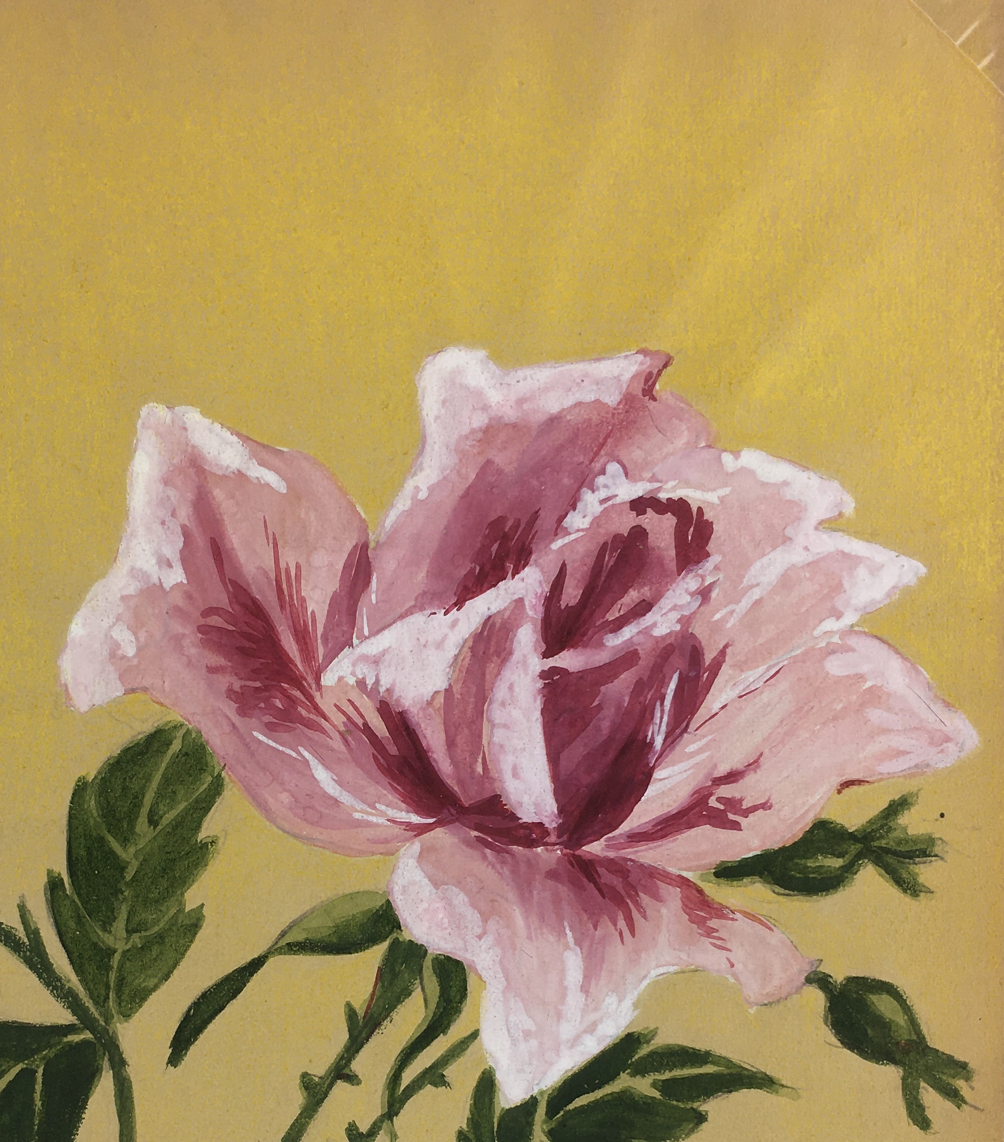 Flowers & Plants Original Art - Rose, Germaine Barbier, 1916 - Original ...