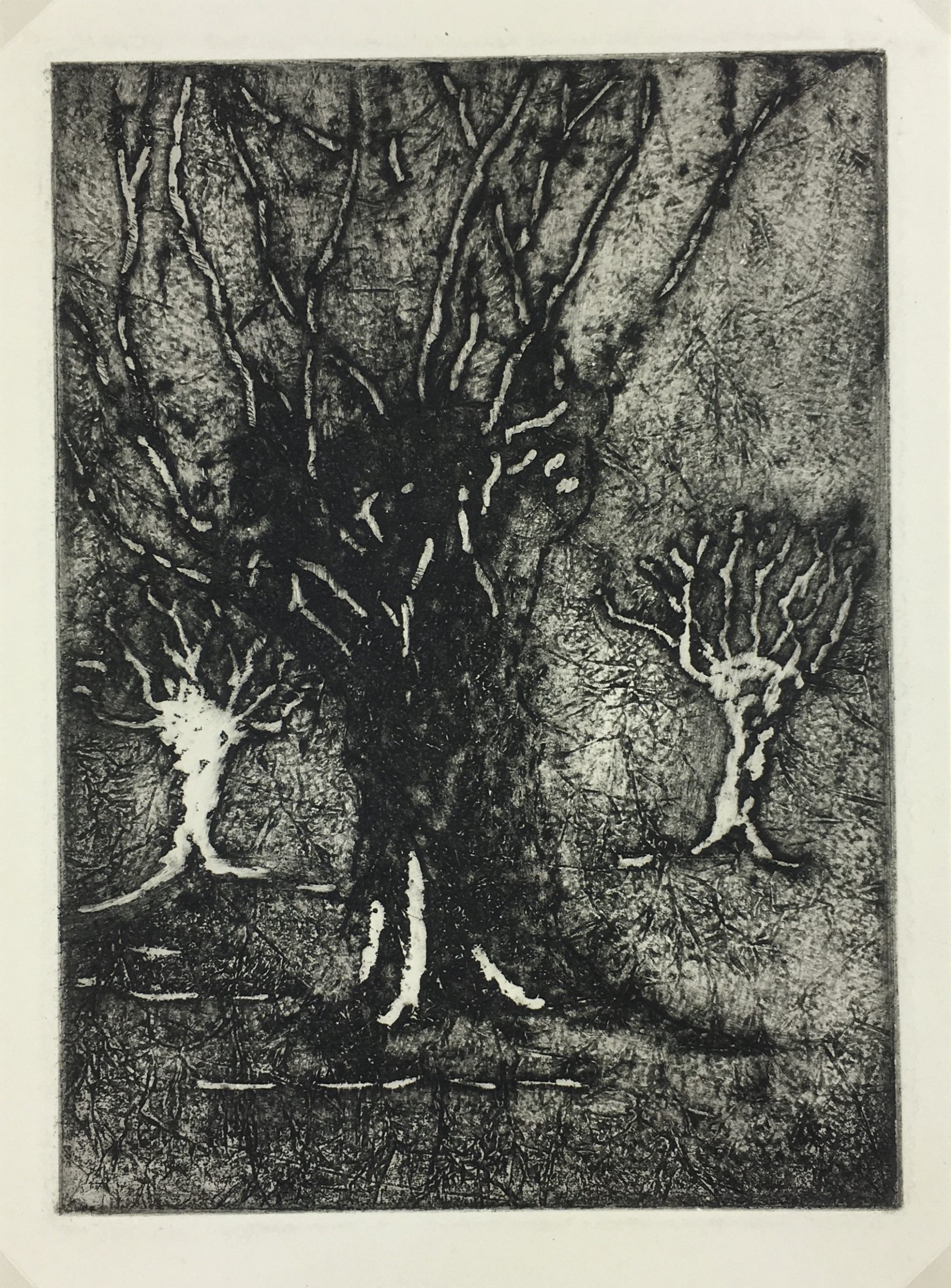 Engravings & Etchings Original Art - Etching - Trees, George Ball, 1981 ...