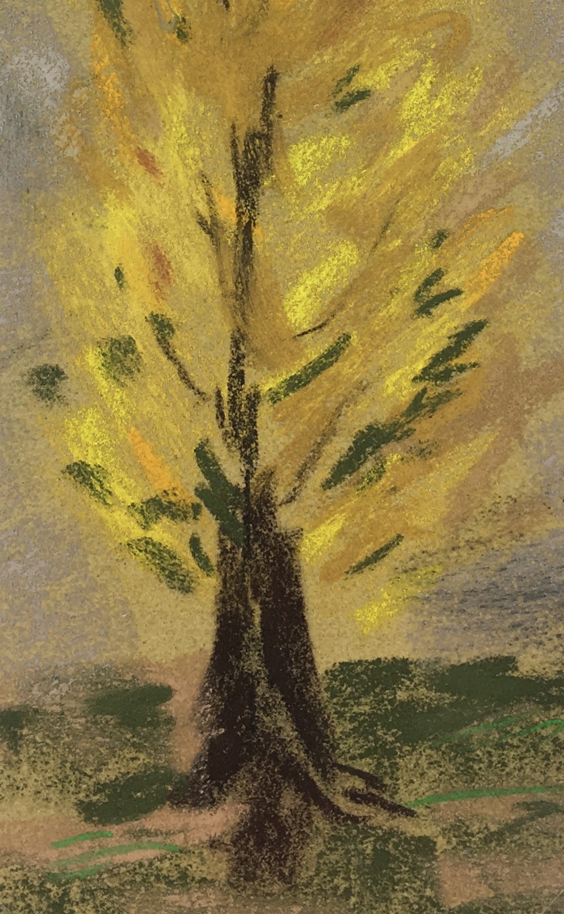 Trees Original Art - Oil Pastel - Ode to a Tree, C.1960 - Original Art ...