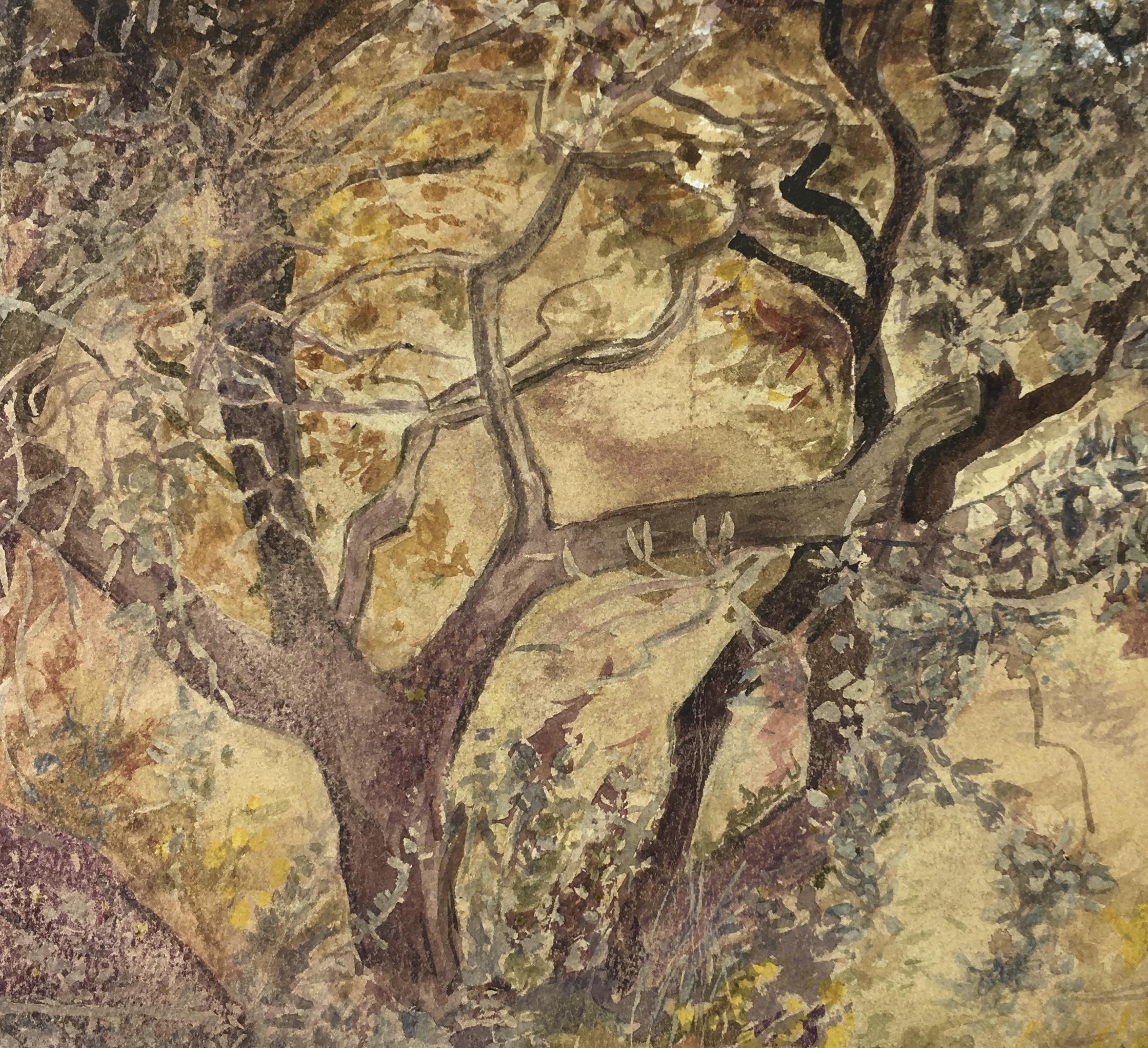 Trees Original Art - S. Bouchard - Interwined, 1930 - Original Art ...