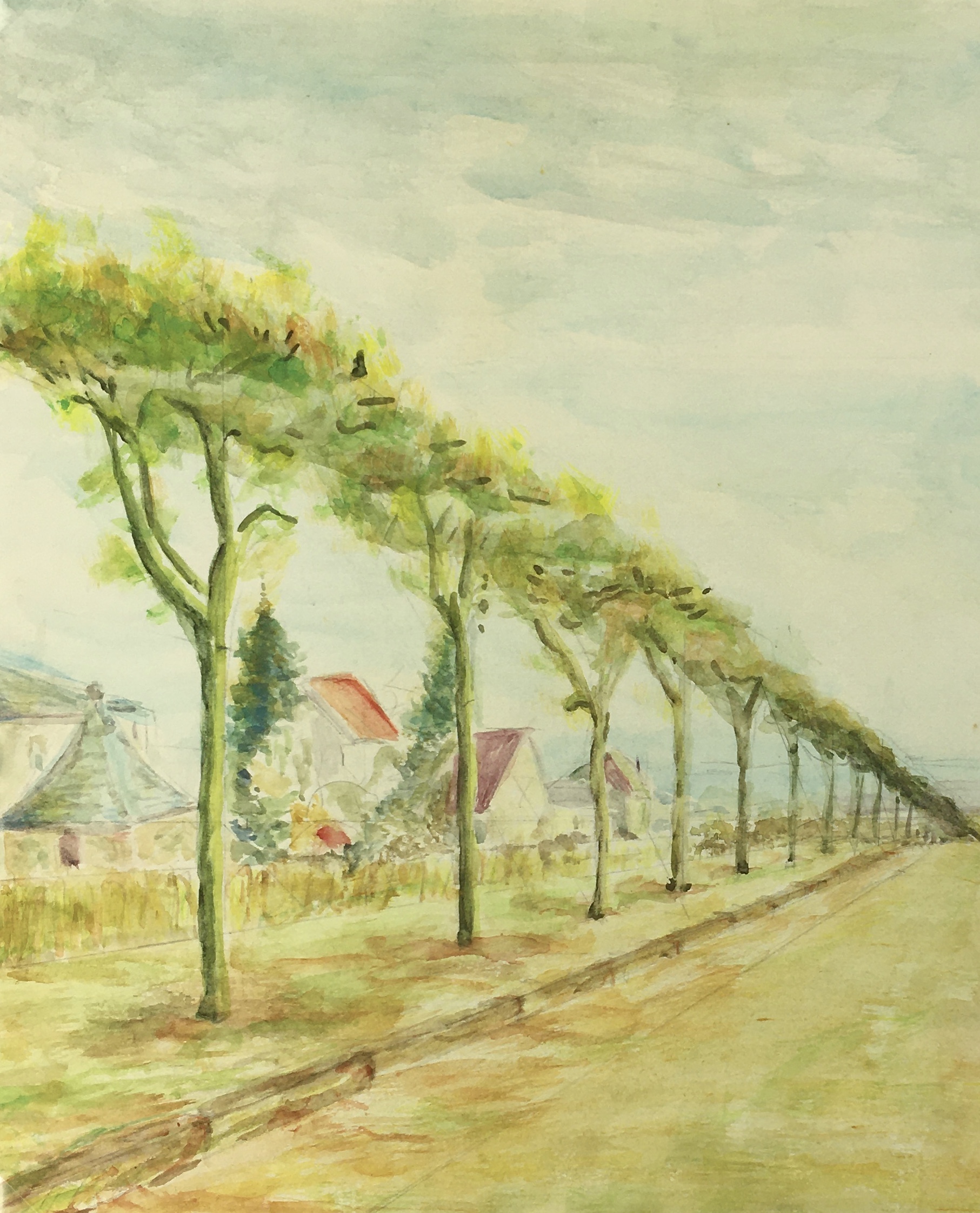 Trees Original Art - Tree Lined Road, C.1960 - Original Art, Antique ...