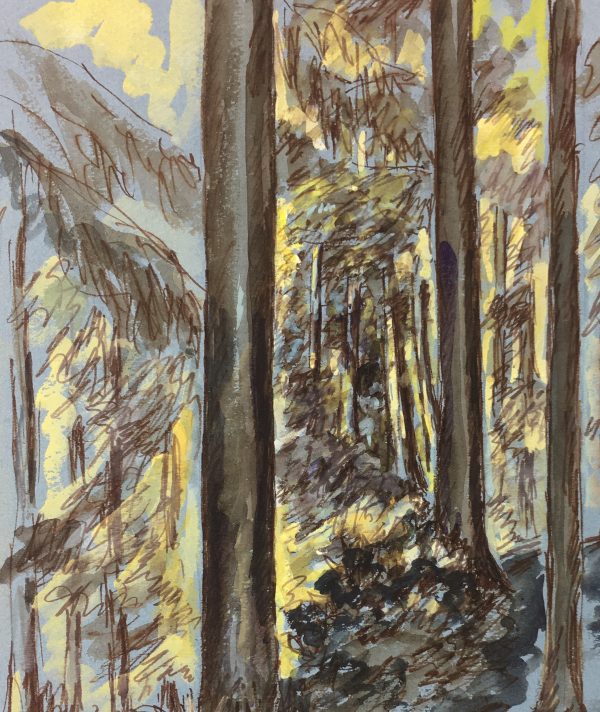 Trees Original Art - Oil Pastel - Forest, 1990 - Original Art, Antique ...