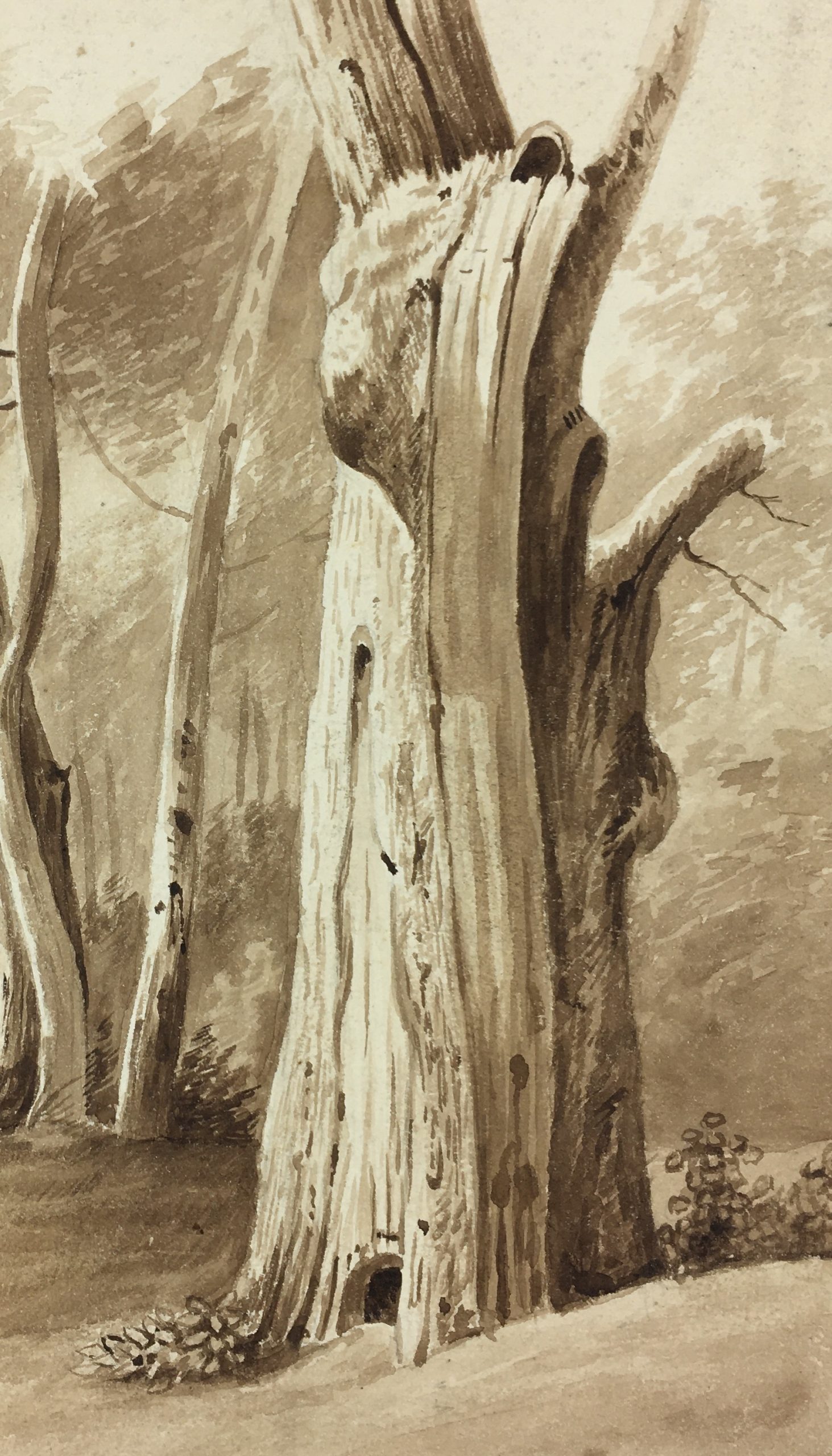 Trees Original Art - Landscape, C.1910 - Original Art, Antique Maps ...