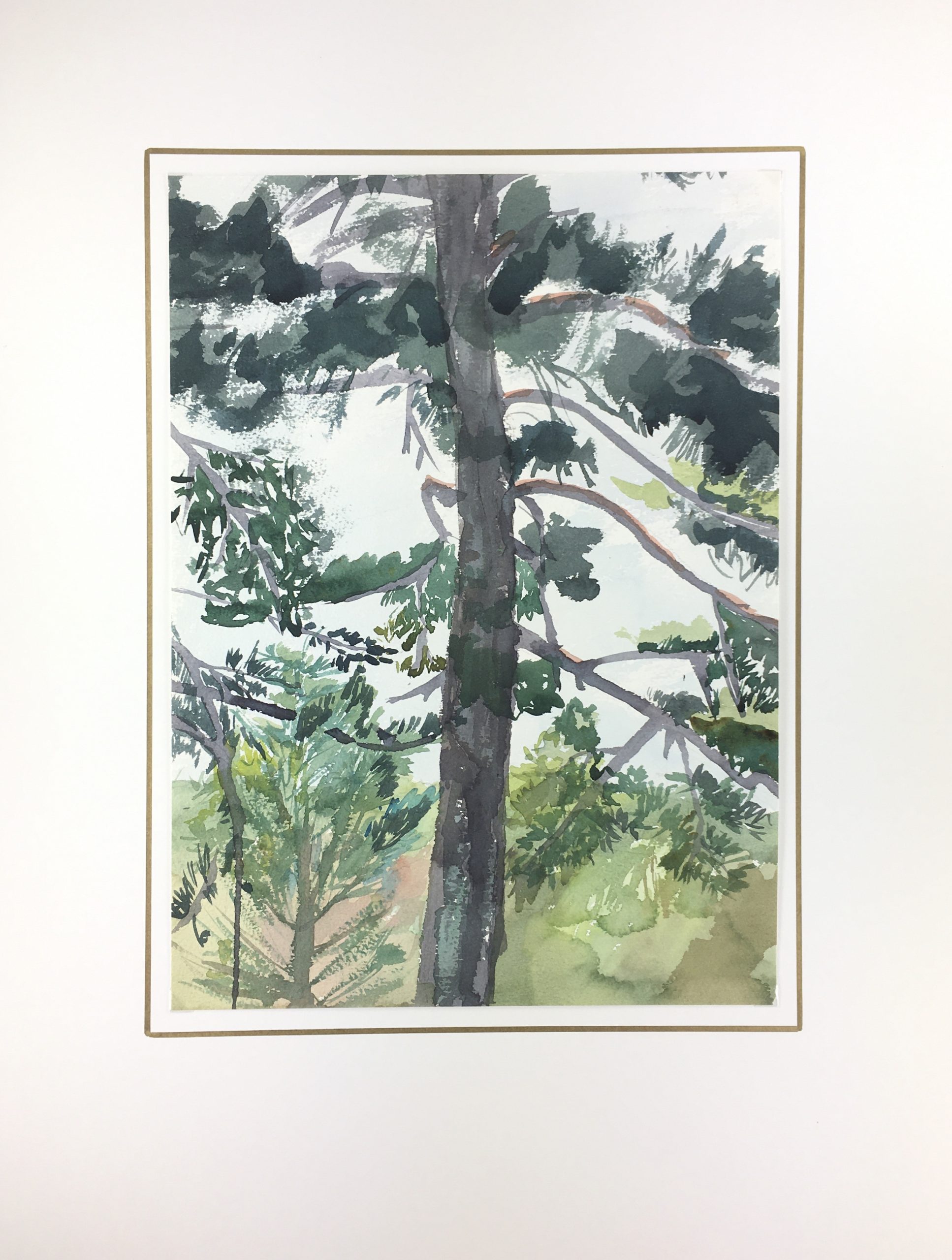 Trees Original Art - Trees, C.1960 - Original Art, Antique Maps & Prints