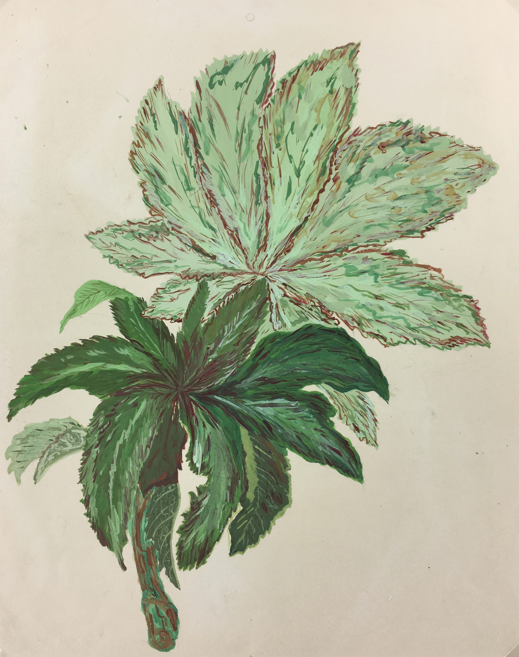 FLOWERS & PLANTS - Original Art, Antique Maps & Prints