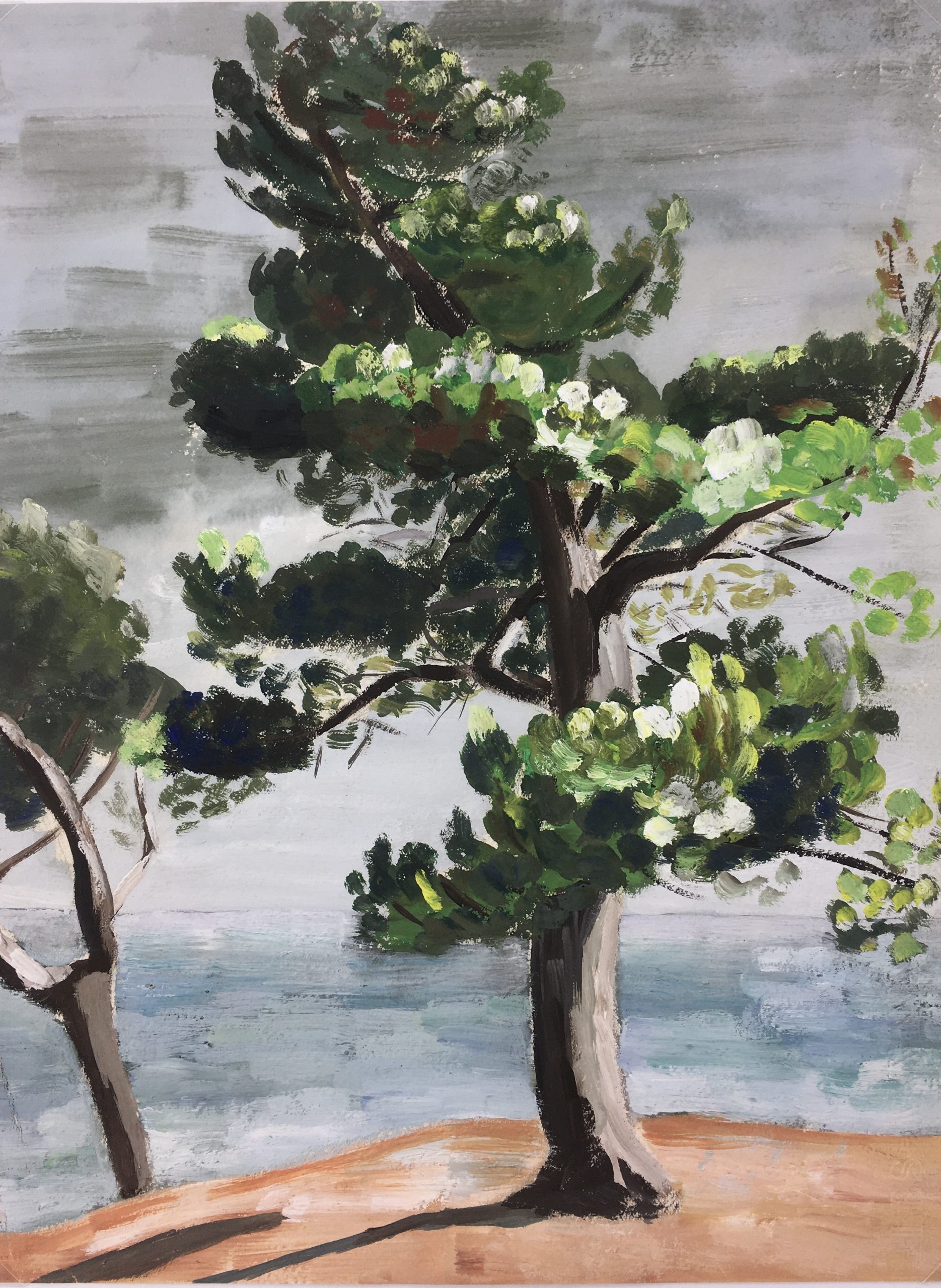Trees Original Art - Seaside Tree, French, c. 1960 - Original Art ...