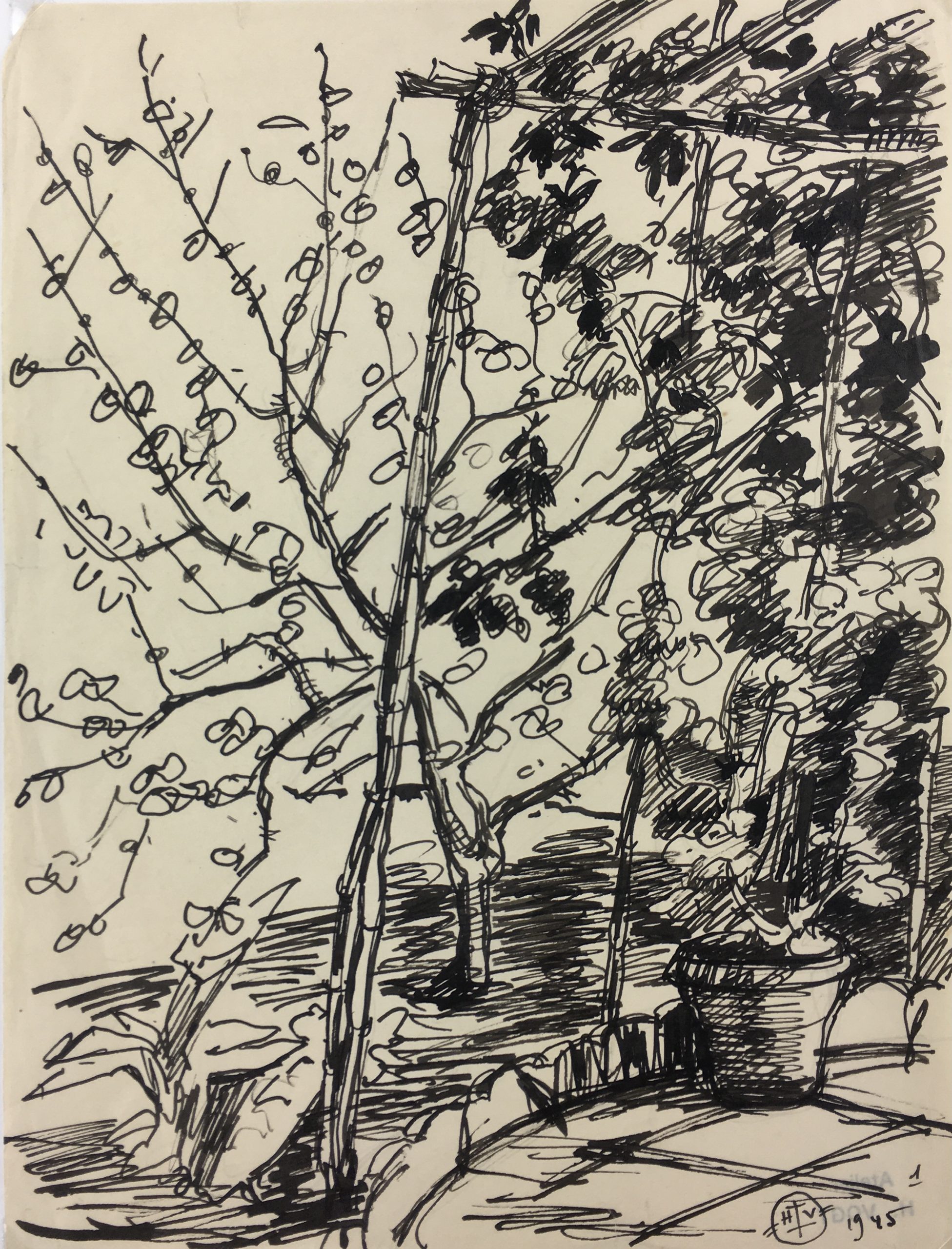 Trees Original Art - Garden Trees, H.T.V., 1945 - Original Art, Antique ...